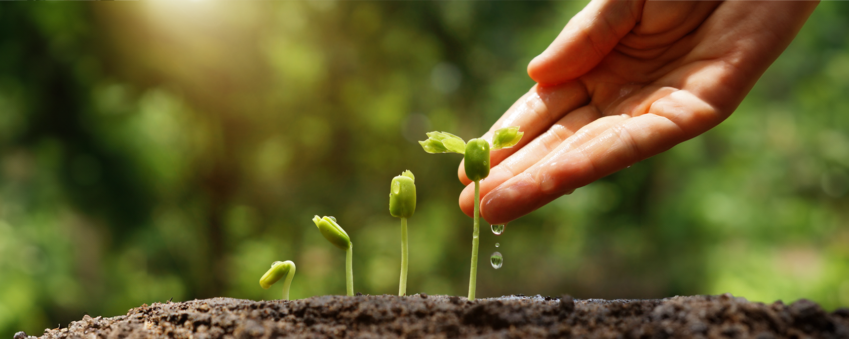 Marketo Engagement Programs 101 | Insights | JTF Marketing